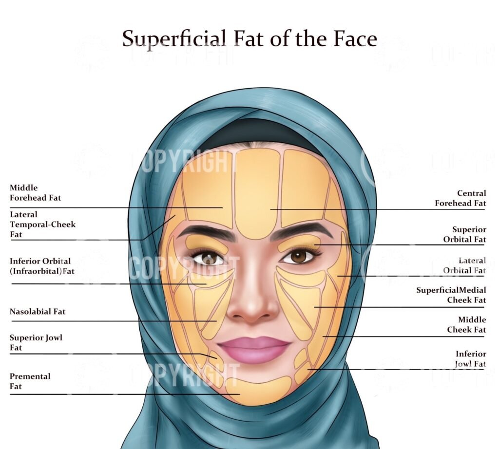 Superficial Fat Pads of Face Zahra Muslim HijabDigital Download | Nita ...